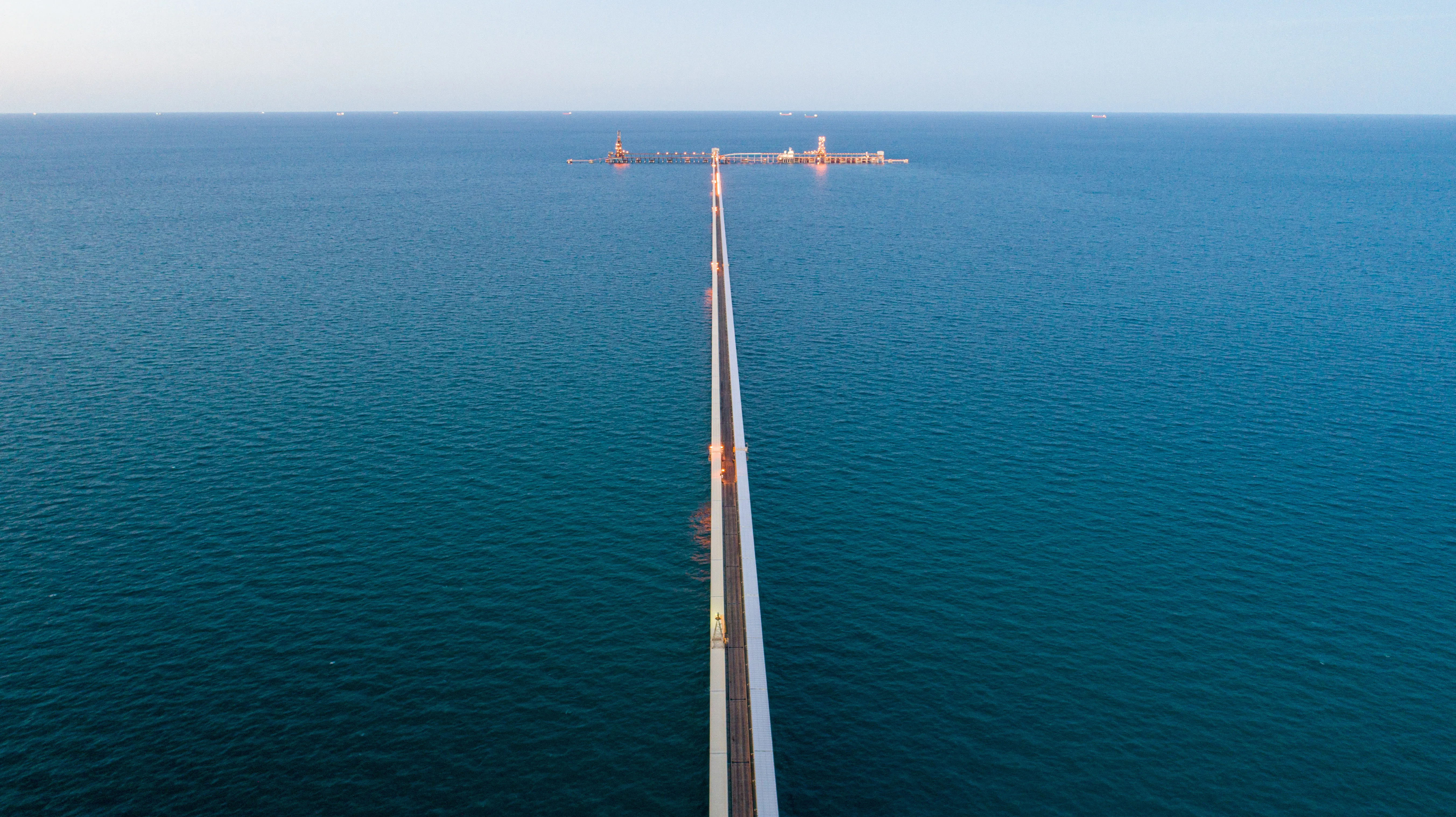 Port design make light work of turtle hatchlings’ first journey | Abbot ...