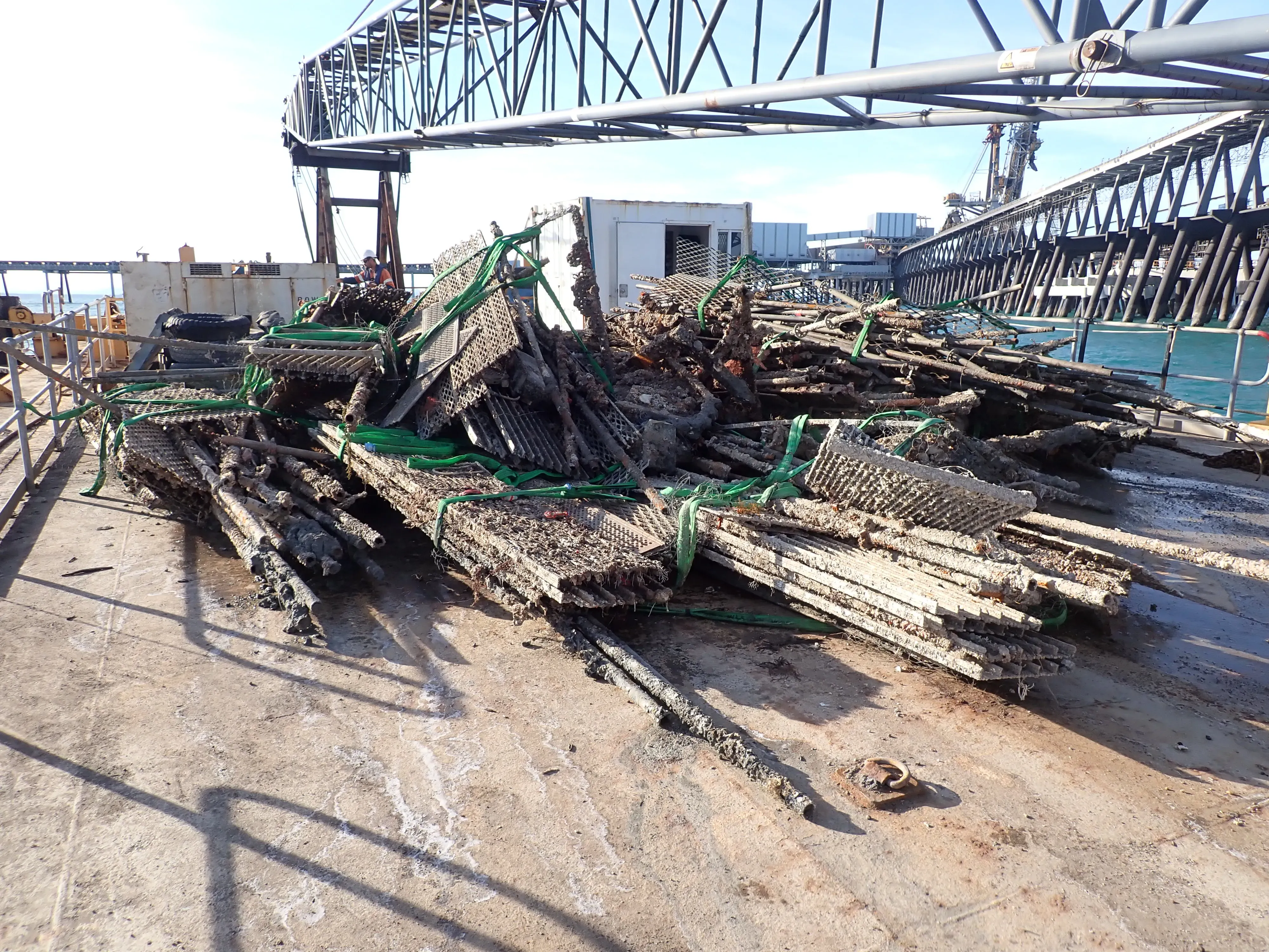 Pacific Marine Group | DBCT Underwater Inspections