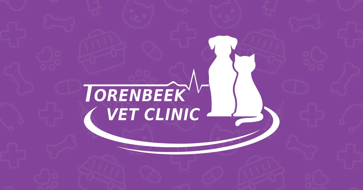 Proheart SR12 heartworm prevention- 12 months protection.